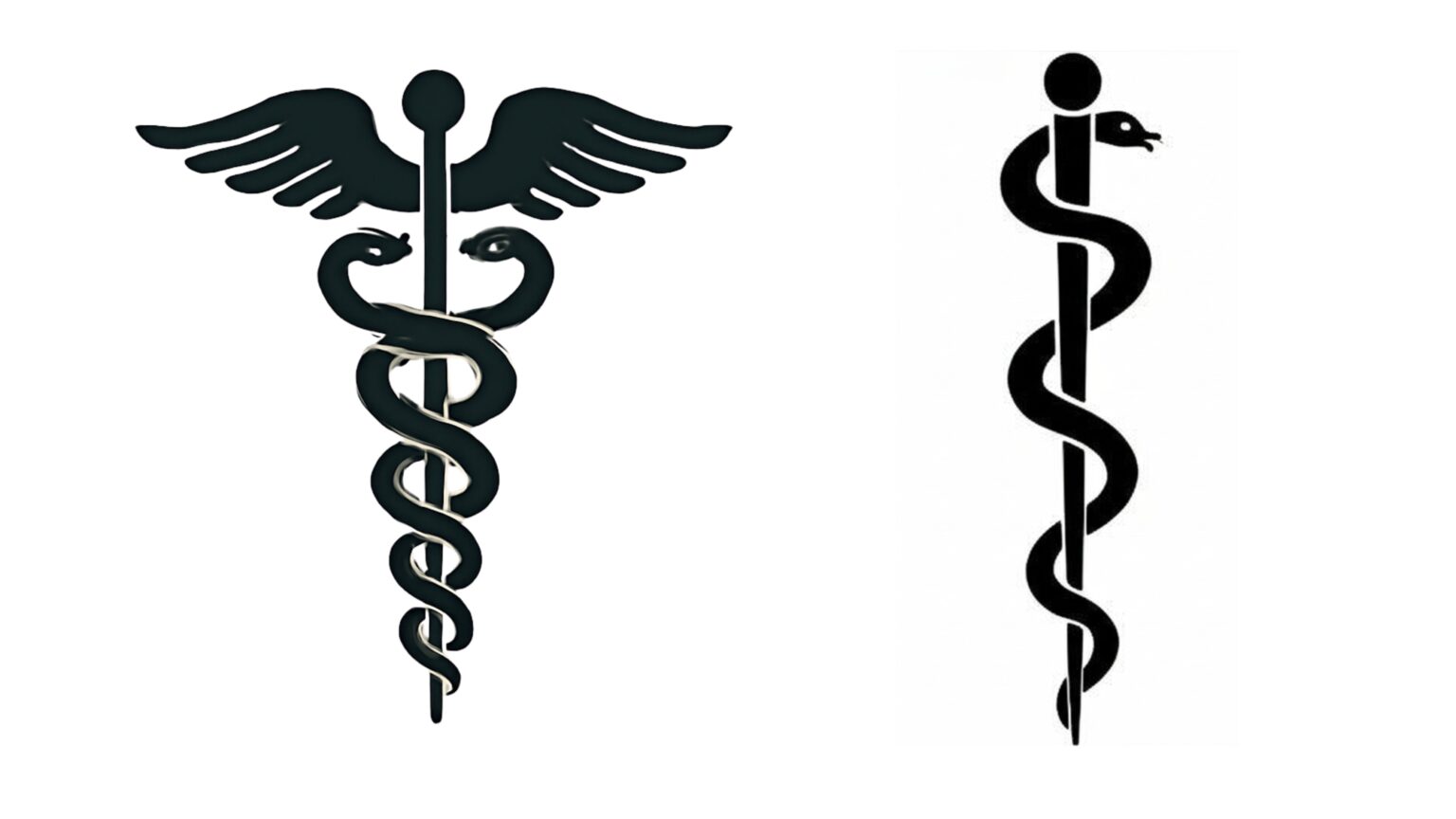 El caduceo y la vara de Esculapio: Un viaje de sanación, antídotos y ...